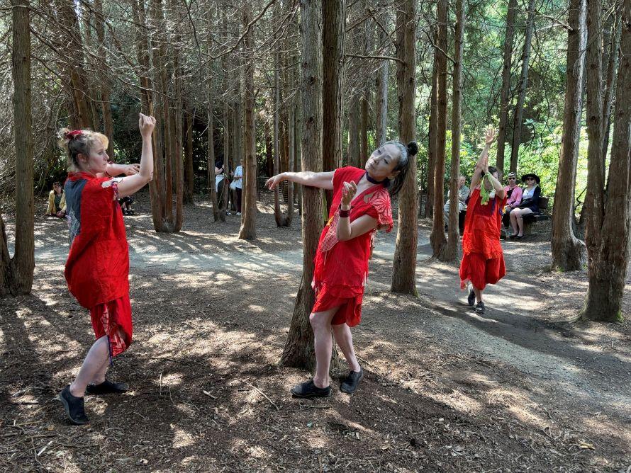 Wandering and Wondering - A Butoh Performance | Seattle Area Family Fun ...
