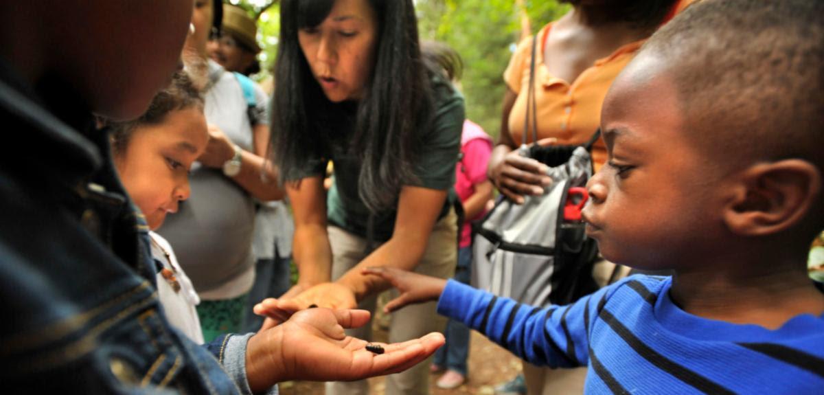 Nature At Night - Nocturnal Nature Program | Seattle Area Family Fun ...