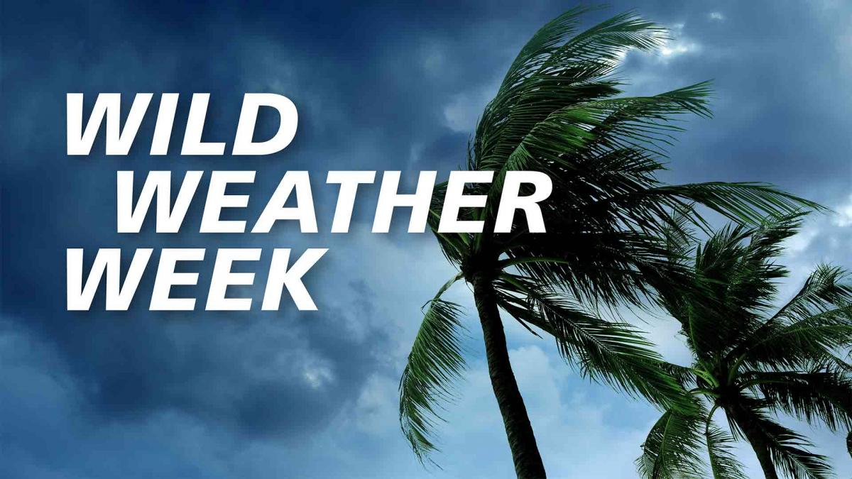 Wild Weather Week | Seattle Area Family Fun Calendar | ParentMap