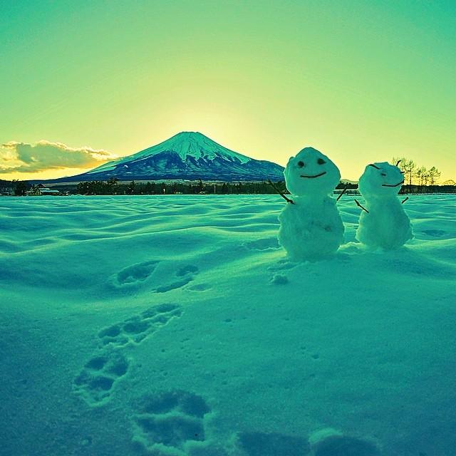 KCLS Online Program: Crafternoon with Miss Bekka: TP or Cottonball ...