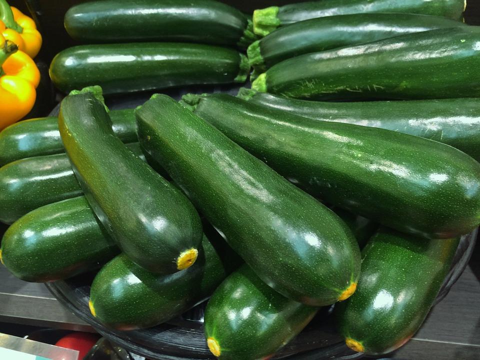 Zucchini 500 | Seattle Area Family Fun Calendar | ParentMap