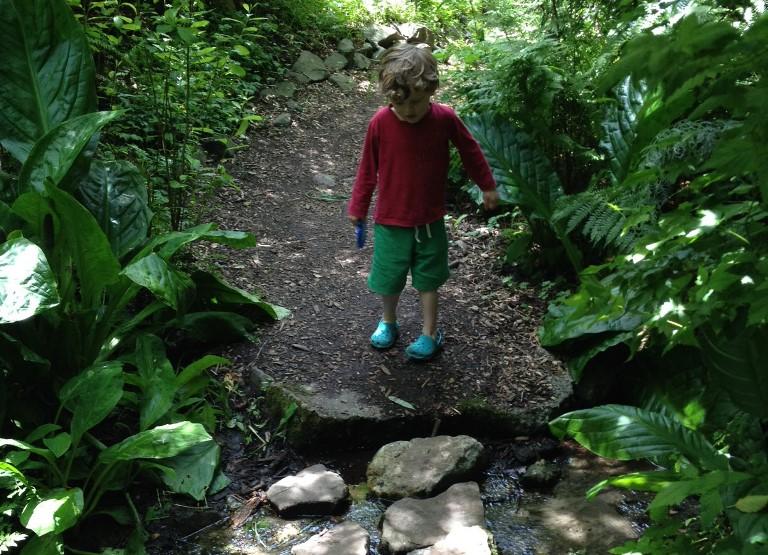 Secret Urban Wildlife Hikes Around Seattle and the Eastside | ParentMap