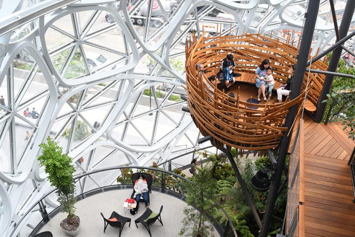 Amazon Spheres: Exploring Inside With Kids | ParentMap