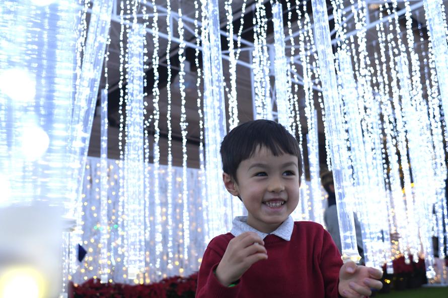 Lumaze: Seattle's Newest Holiday Light Show | ParentMap