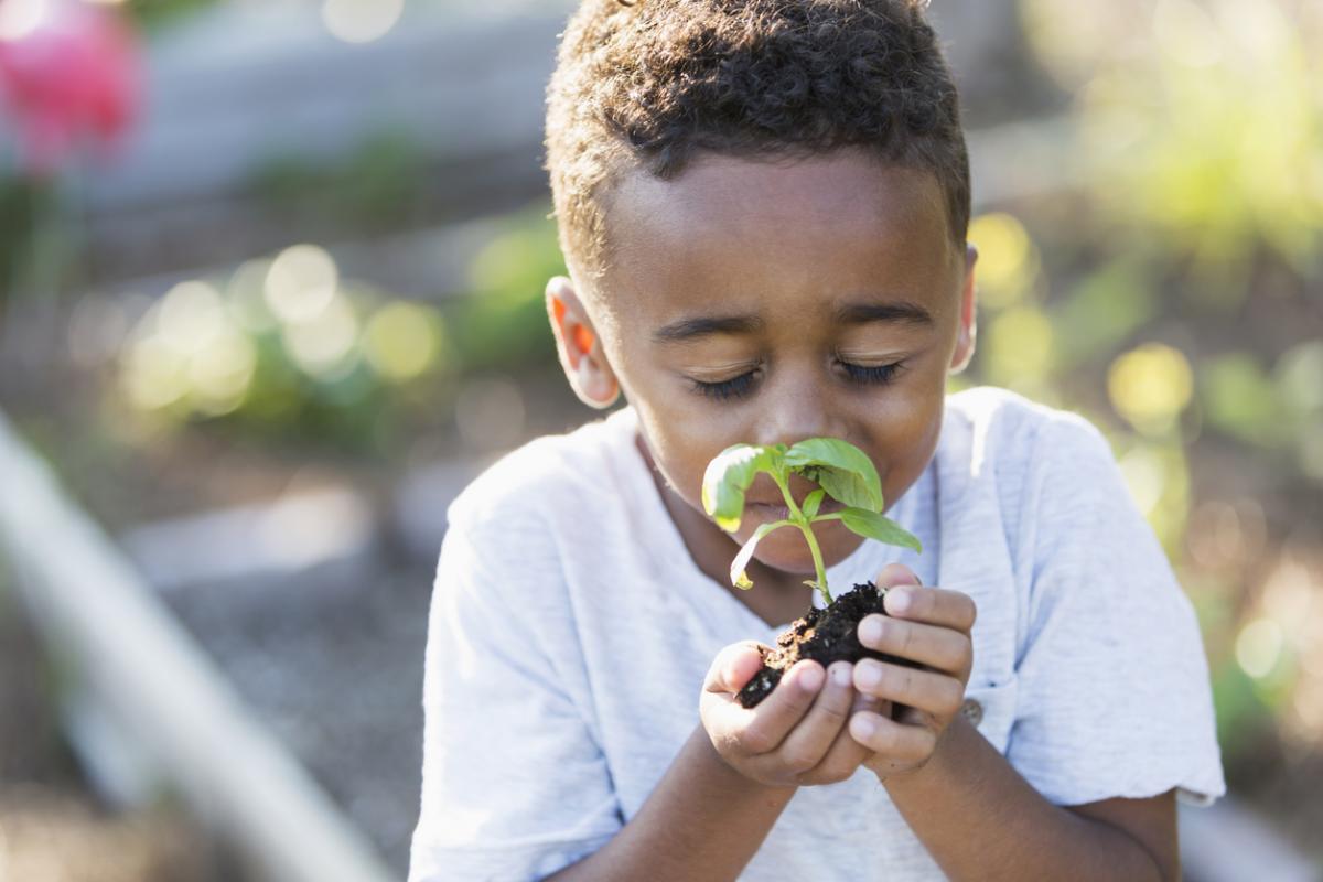 Backyard Environmental Learning Activities for Kids and Families ...
