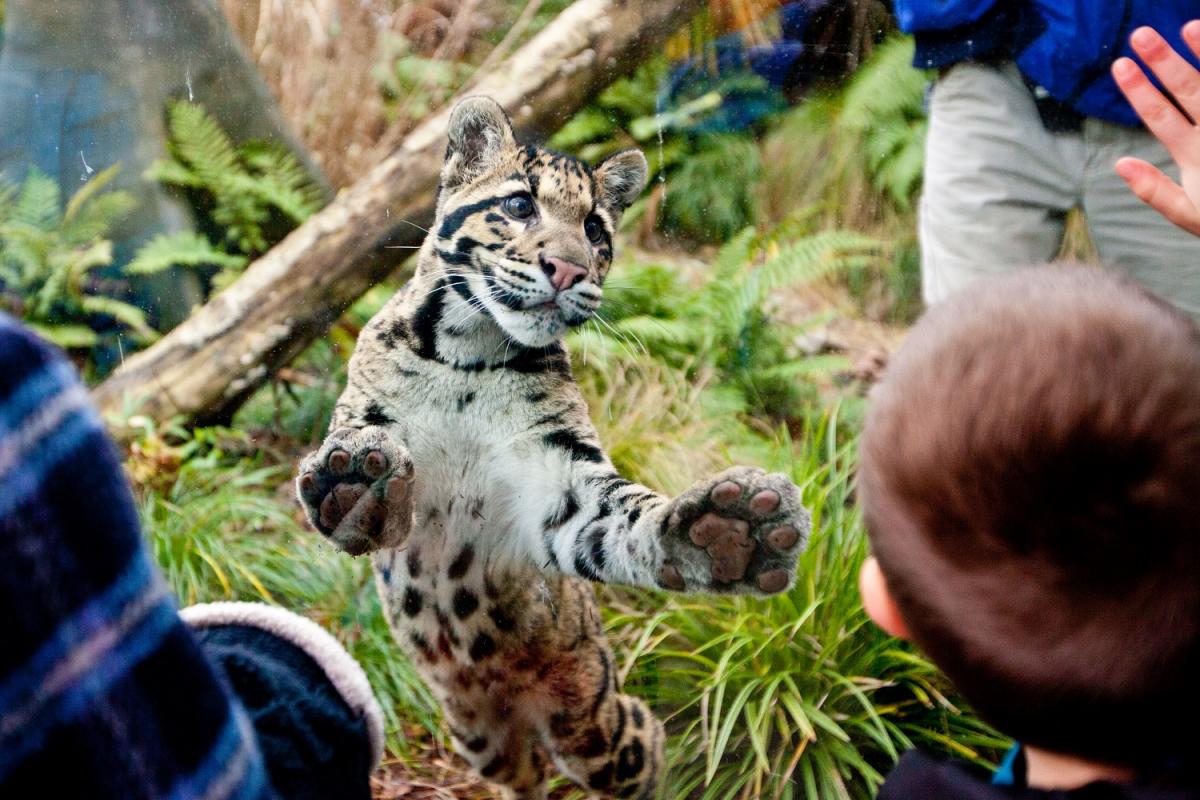 Point Defiance Zoo & Aquarium and Northwest Trek Set to Reopen | ParentMap