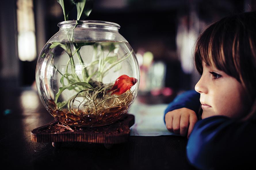 35 Solutions to Soothe a Worried Child | ParentMap