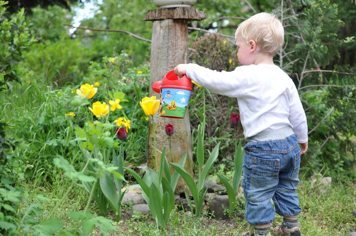 7 Gardening Science Projects to Try This Spring | ParentMap