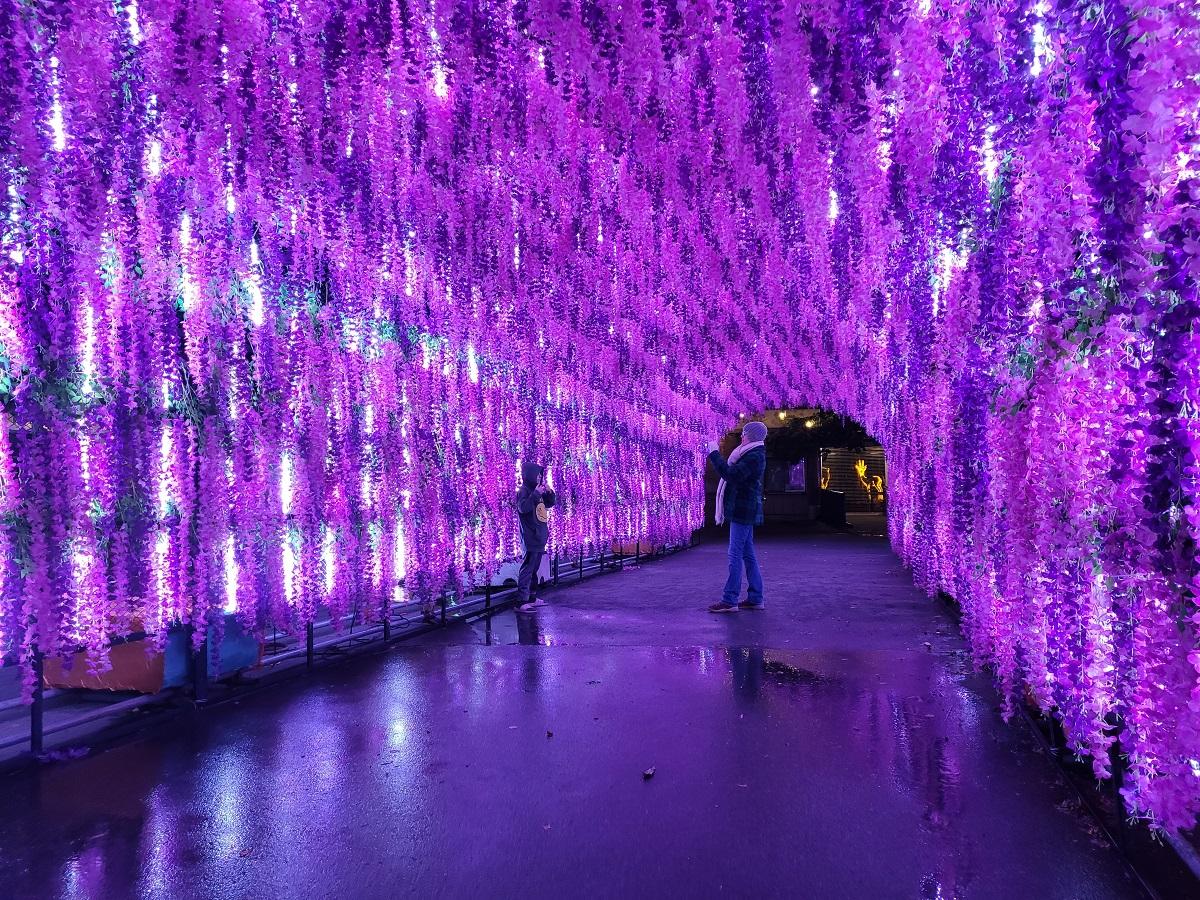 Best Holiday Light Displays Around Seattle, the Eastside and South ...