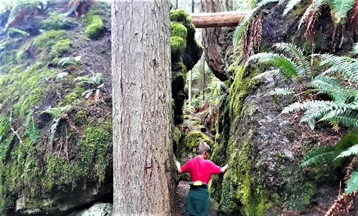 Issaquah Alps Hikes – ParentMap