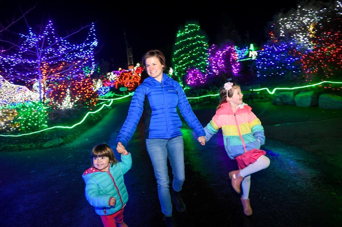 Best Holiday Light Displays Around Seattle, the Eastside and South ...