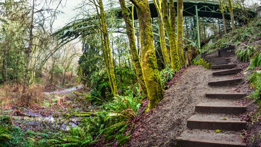 Neighborhood Spotlight: Ravenna - ParentMap