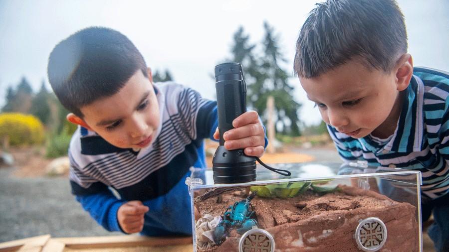 Bug Museums and Insect Encounters That Spark Curiosity in Kids | ParentMap