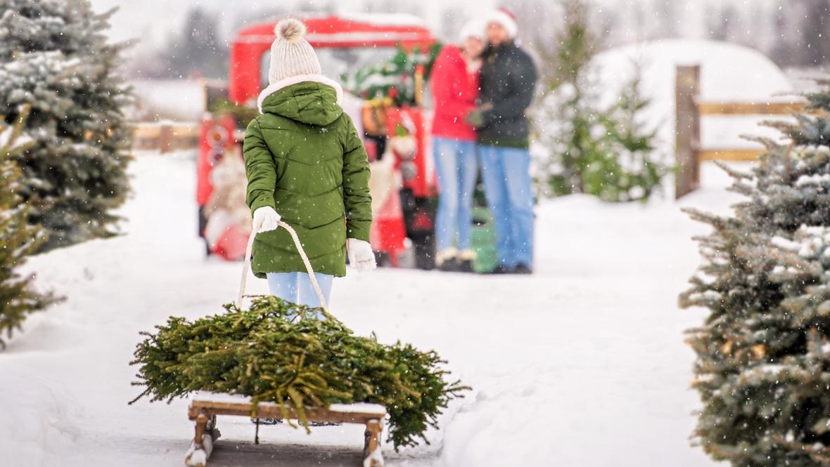 U-Cut Christmas Tree Farms for Seattle-Area Families | ParentMap