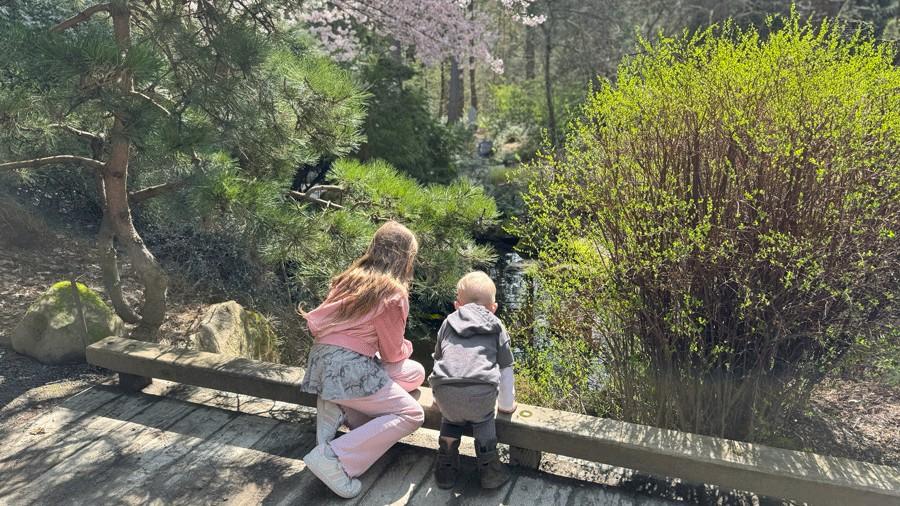 Best Spring Break Activities and Outings for Families Around Seattle ...