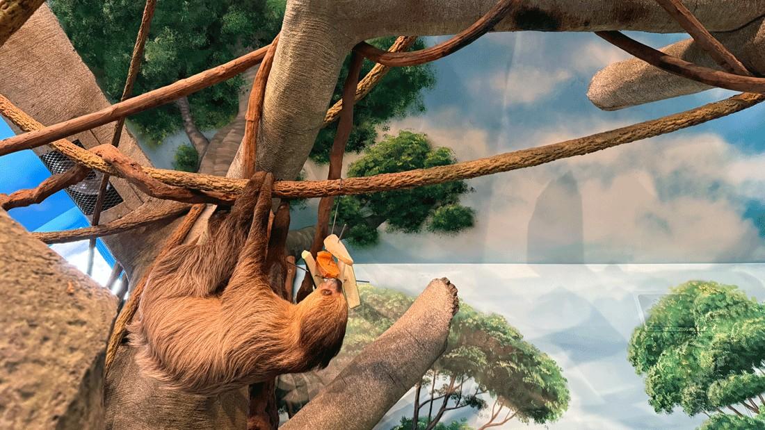 Unusual Animal Encounters for Seattle-Area Families | ParentMap