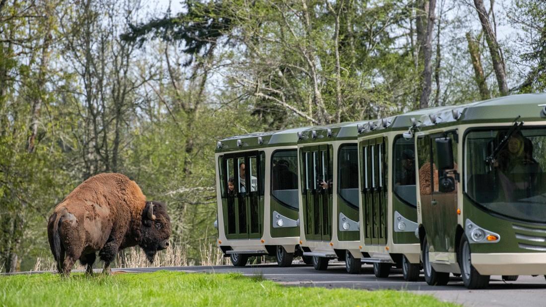 Northwest Trek Wildlife Park Guide for Families | ParentMap
