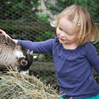 ParentMap | Seattle Activities and for Kids and Family Resources