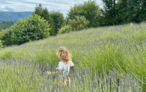 Neighborhood Spotlight: Ravenna - ParentMap