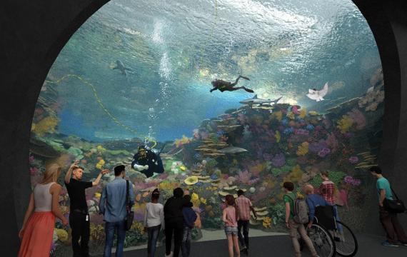 Seattle Aquarium’s Ocean Pavilion Open Now | ParentMap