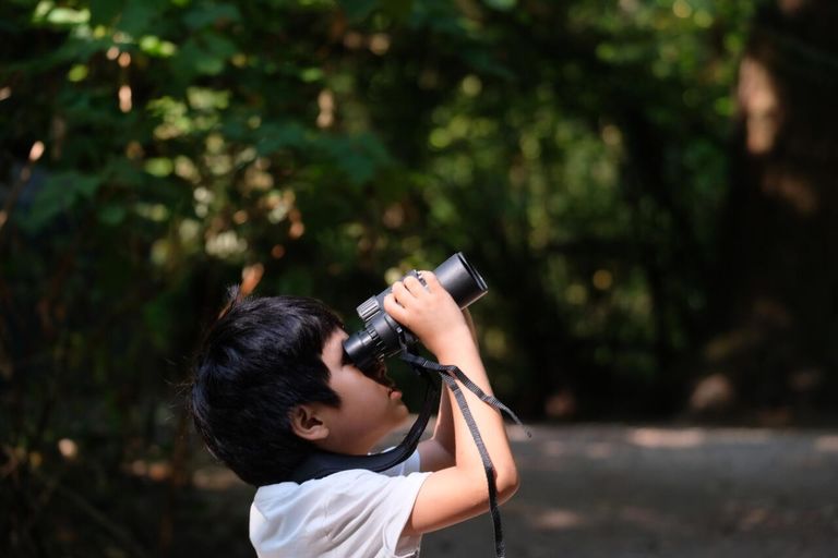 Birding for Beginners