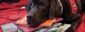 Reading with Rover at the Covington Library