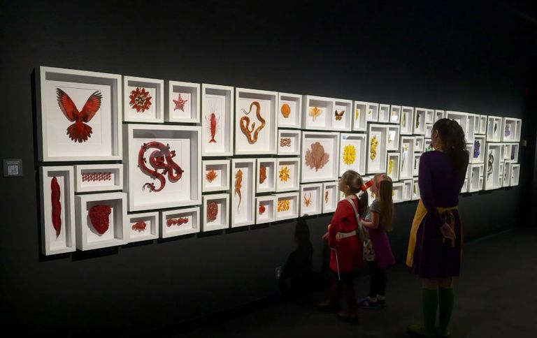 ‘Exquisite Creatures’ Exhibit