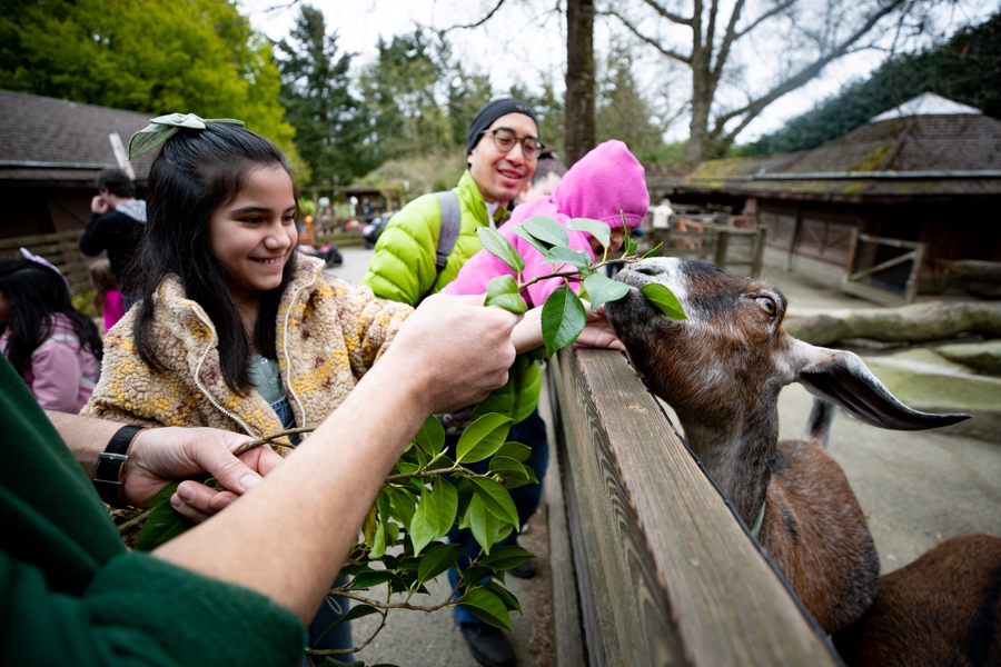 Woodland Park Zoo Announces New Exhibit Opening in 2026