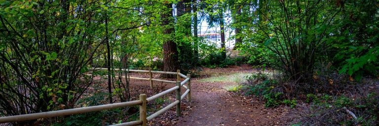 Sensory Stroll at Lewis Creek Park
